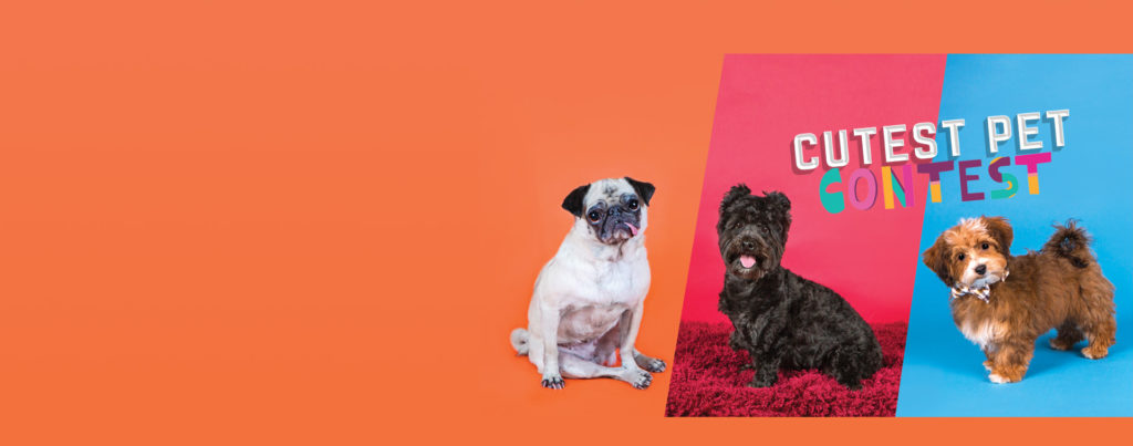 Cutest Pet Contest: Meet the Winners – Central Florida Lifestyle