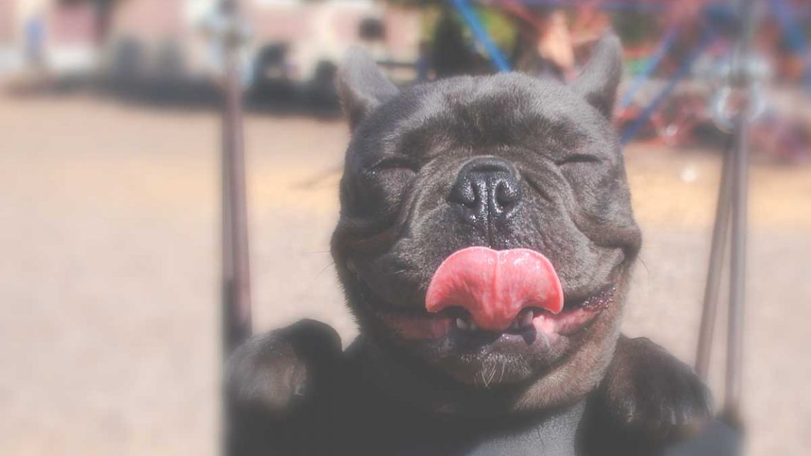 Congratulations Chief Meteorologist Tom Sorrells on your retirement!