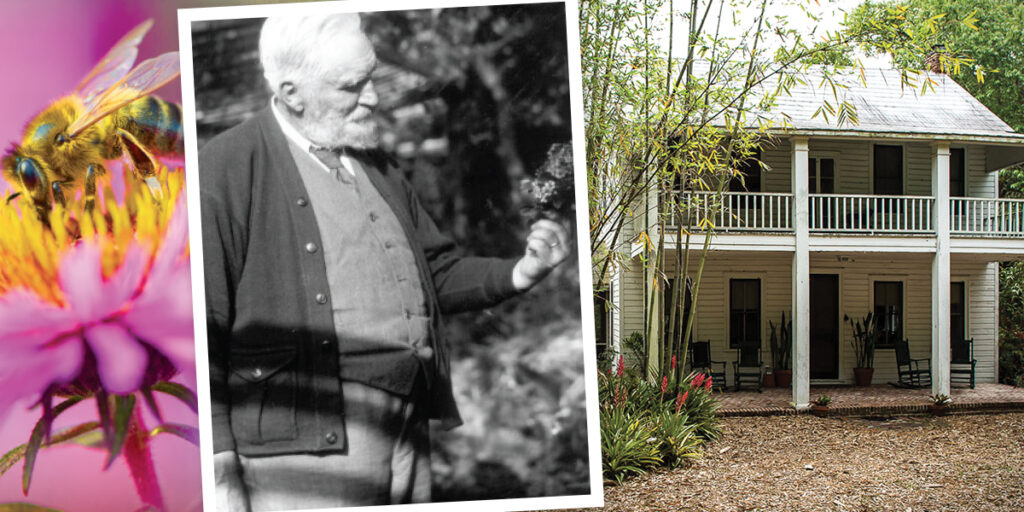 The Legacy of Nehrling Gardens – Central Florida Lifestyle