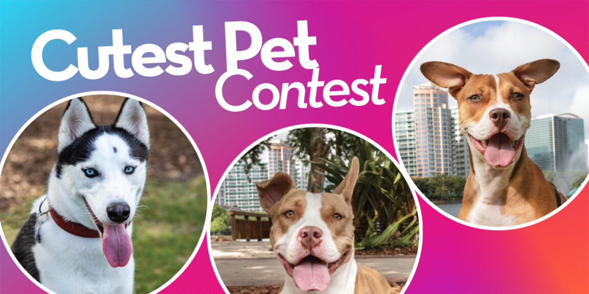 11th Annual Cutest Pet Contest Winners Revealed! – Central Florida ...