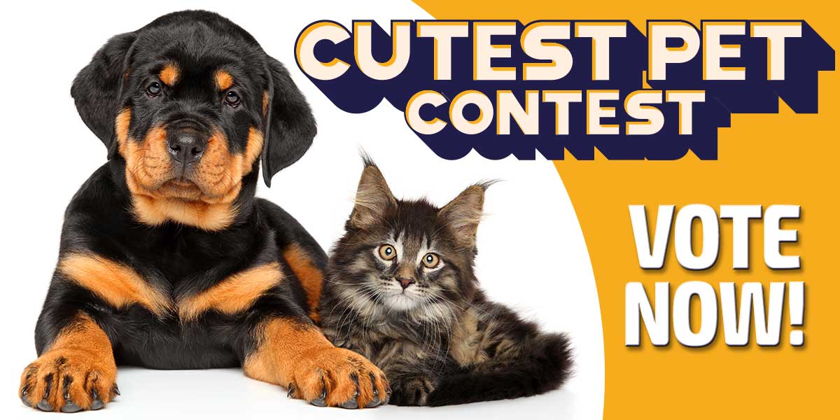 Cutest Pet Contest Official Voting