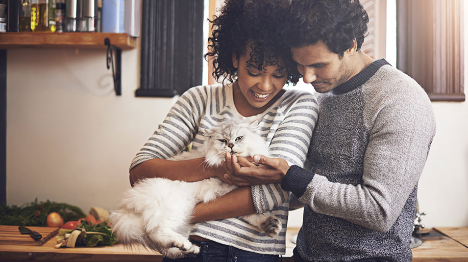 Get the Dish on Proper Nutrition for New Pets – Central Florida Lifestyle