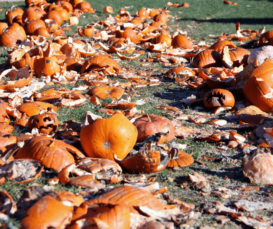 Pumpkin Destruction Day – Central Florida Lifestyle