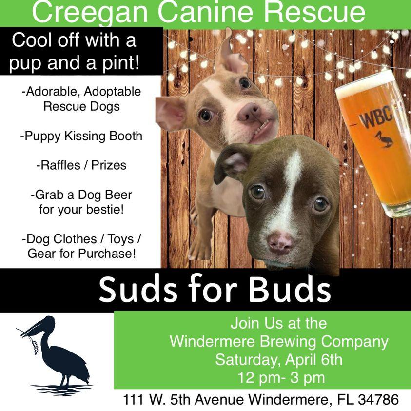 Creegan Canine Rescue Fundraiser - Central Florida Lifestyle