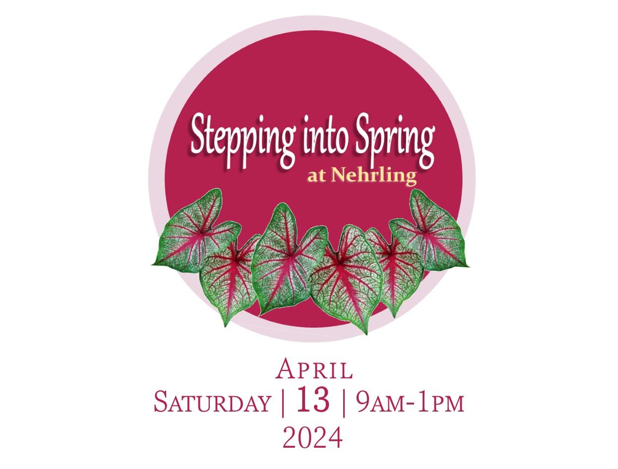 Stepping Into Spring at Nehrling Gardens - Central Florida Lifestyle