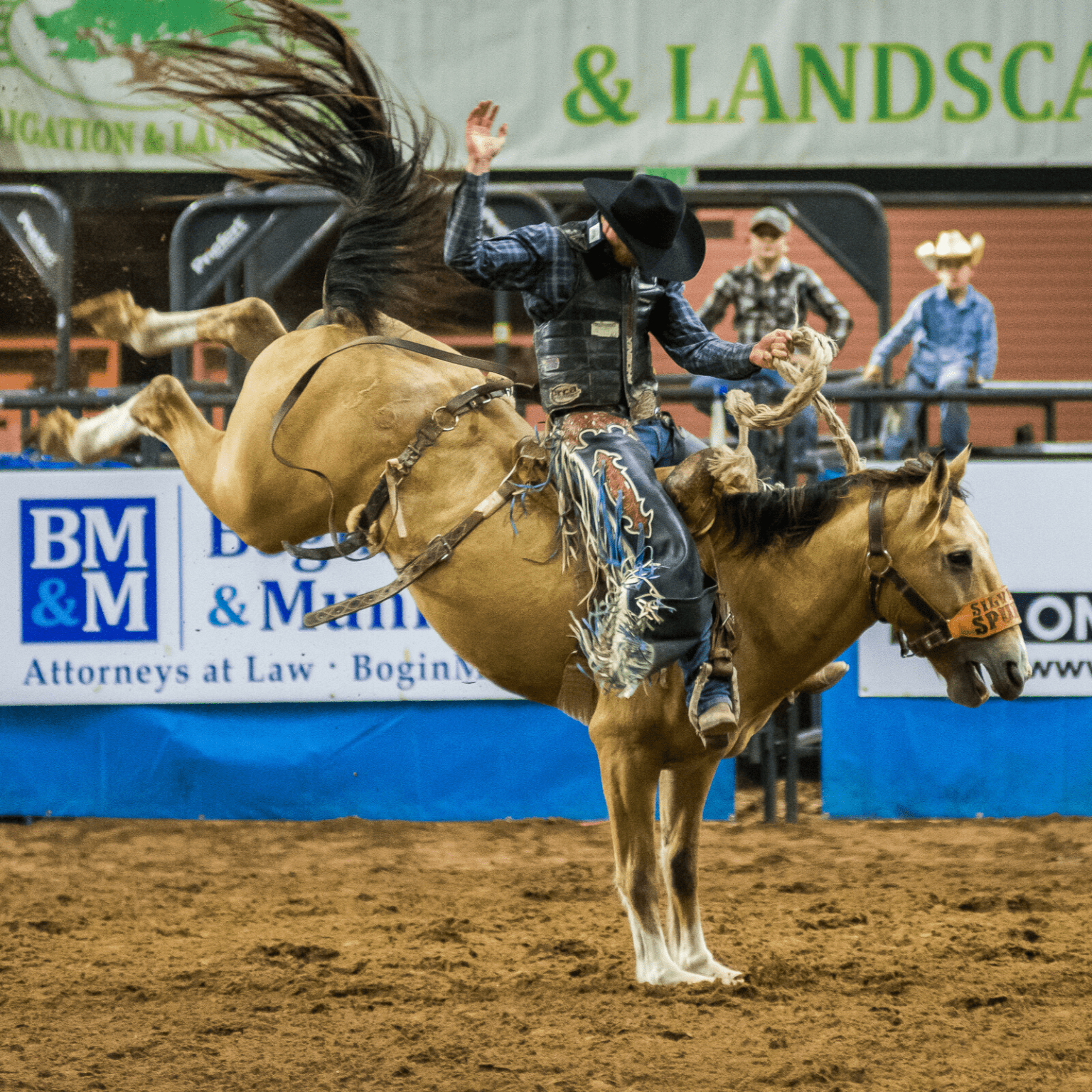 80 Years of Rodeo and Tradition at Silver Spurs Rodeo – Central Florida ...