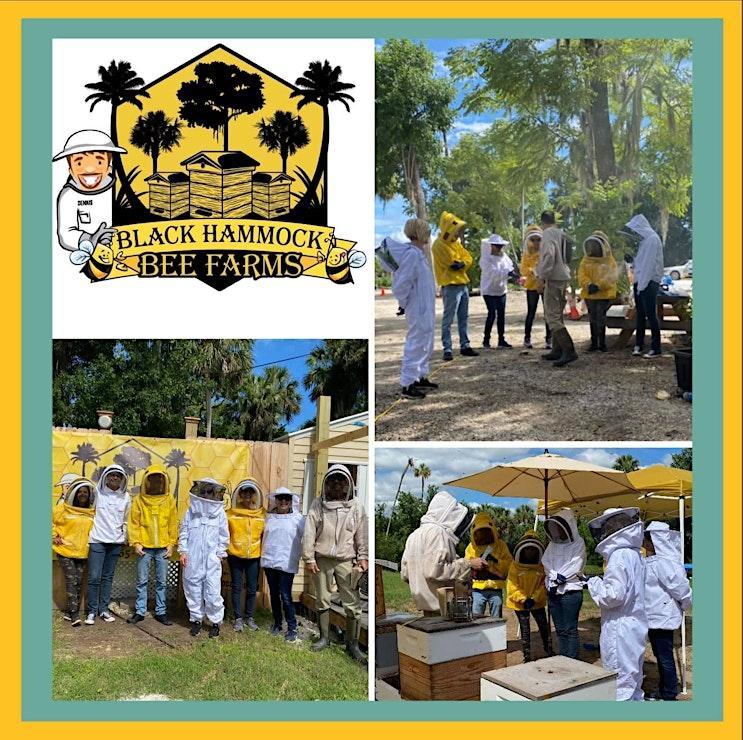 Beginning Beekeeping Class at the Bee Farm – Central Florida Lifestyle