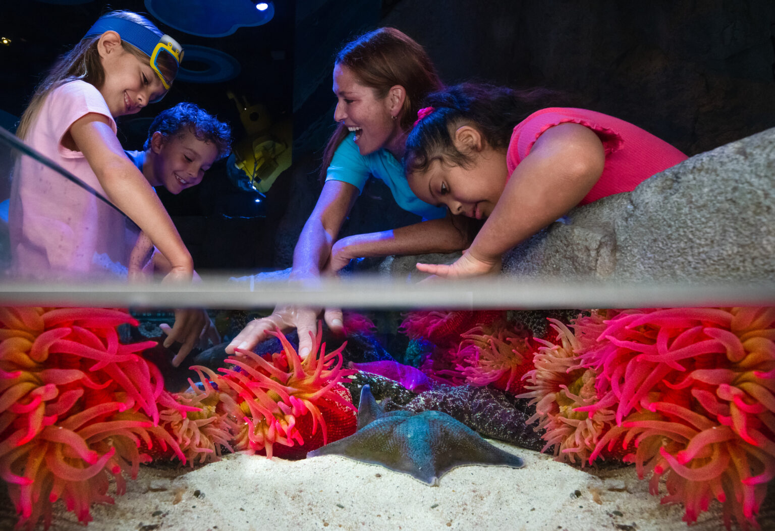 LEGOLAND’s SEA LIFE Florida Aquarium to Open in Central Florida on June ...