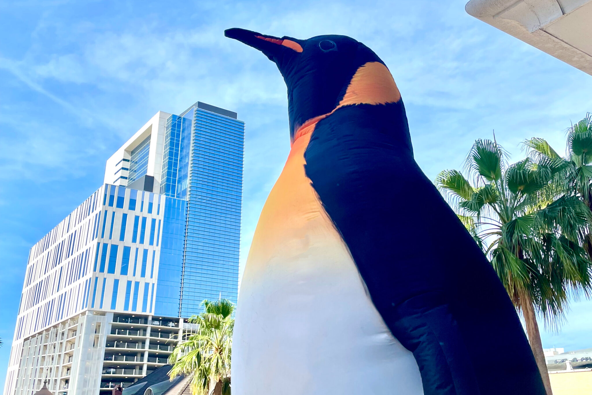 Aquatica Launches 2nd Annual Aqua Glow Summer Event with Expanded Schedule