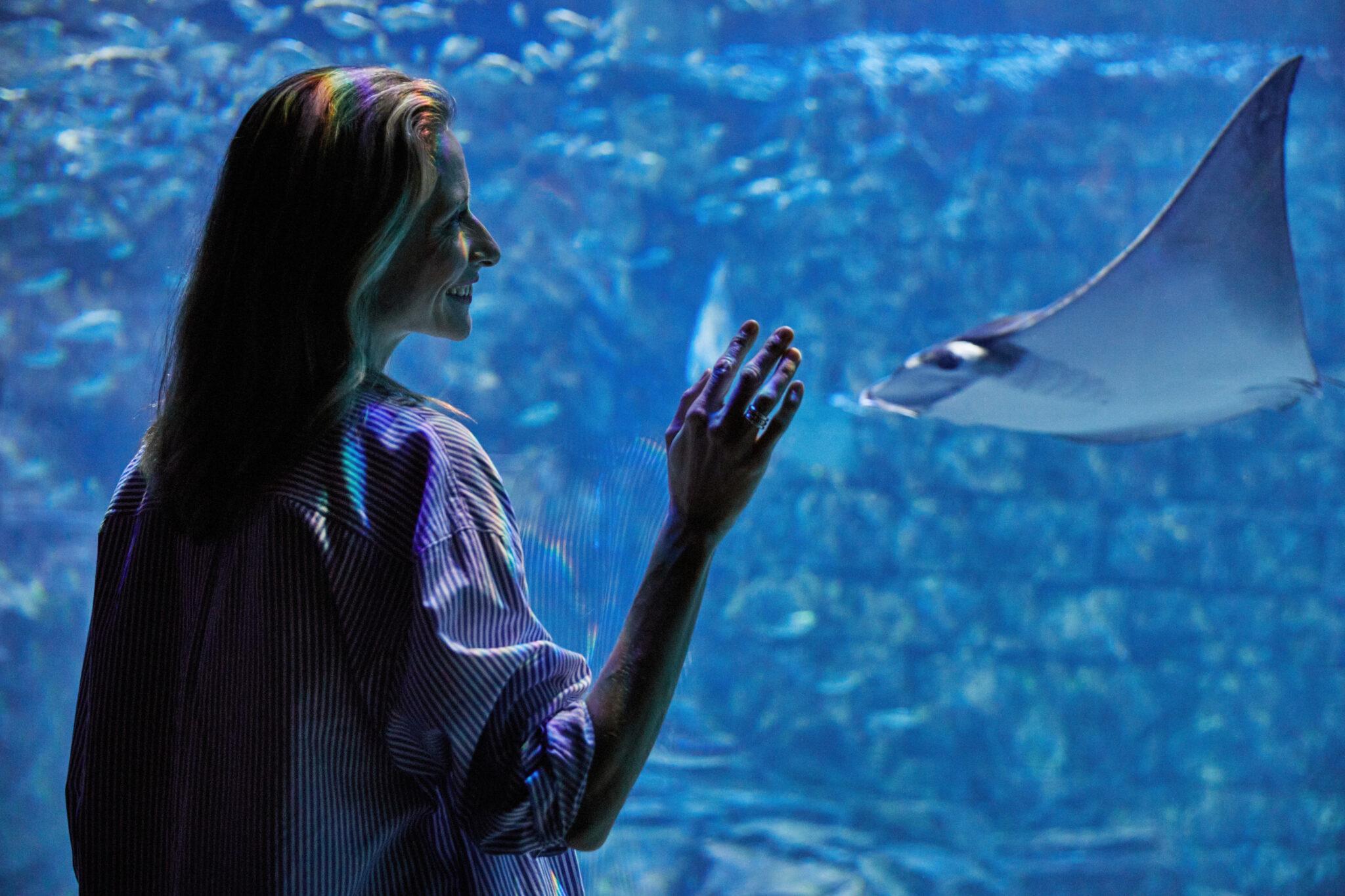 SeaWorld Orlando Brings Back “Inside Look” with New Behind-the-Scenes ...