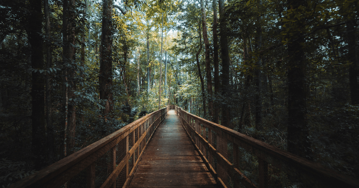 Hidden Treasures: A Guide to Local Parks and Trails – Osceola County