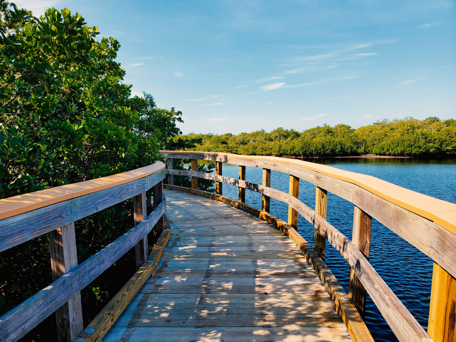 Exploring the Rich History of Manatee County, Florida – Manatee County