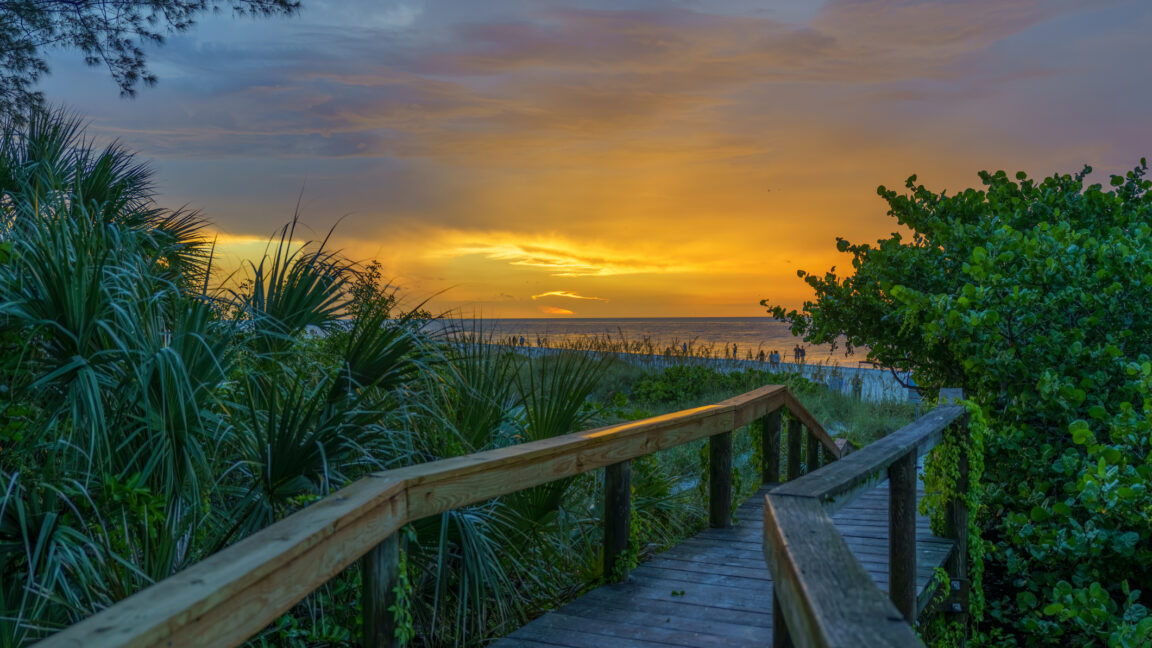 Exploring the Rich History of Manatee County, Florida – Manatee County